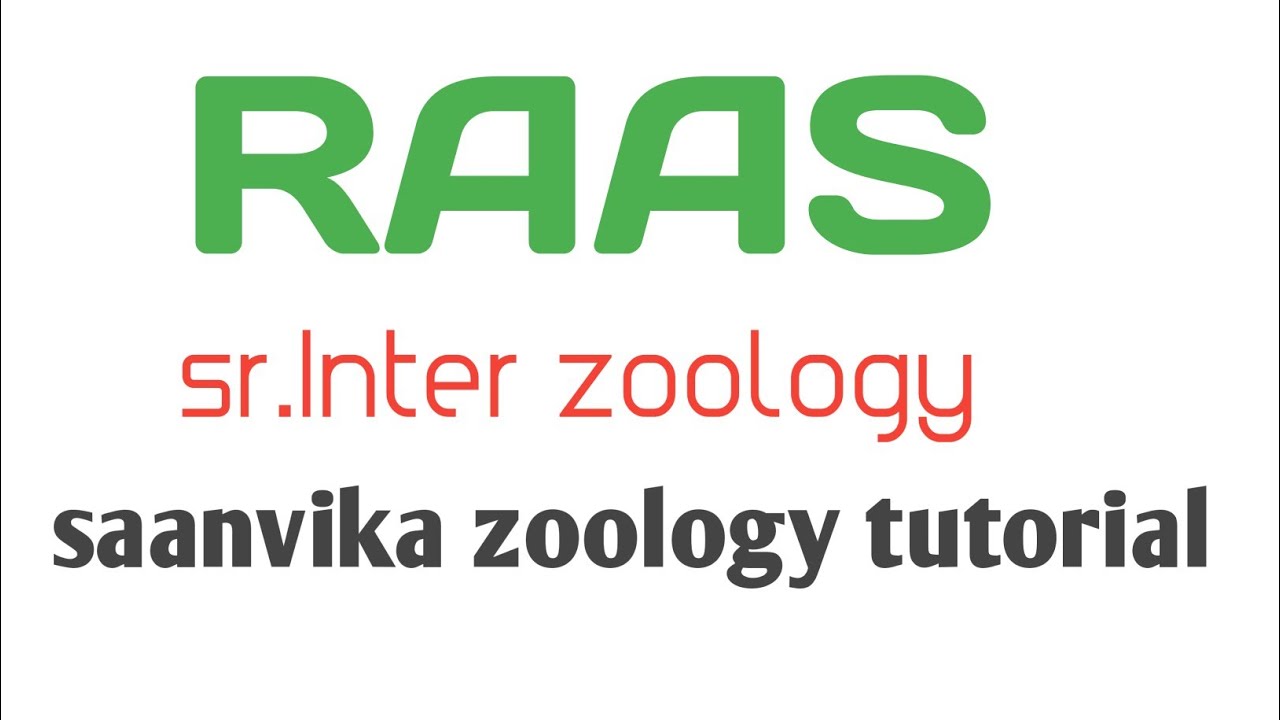 RAAS SYSTEM class11 Biology|Human Excretory system - YouTube