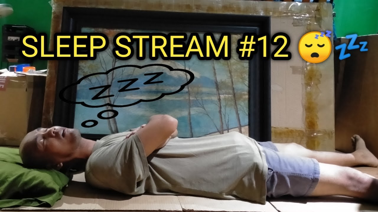 Sleep Stream Sleeping Stream Live #12 #sleepstream #youtubelive # ...