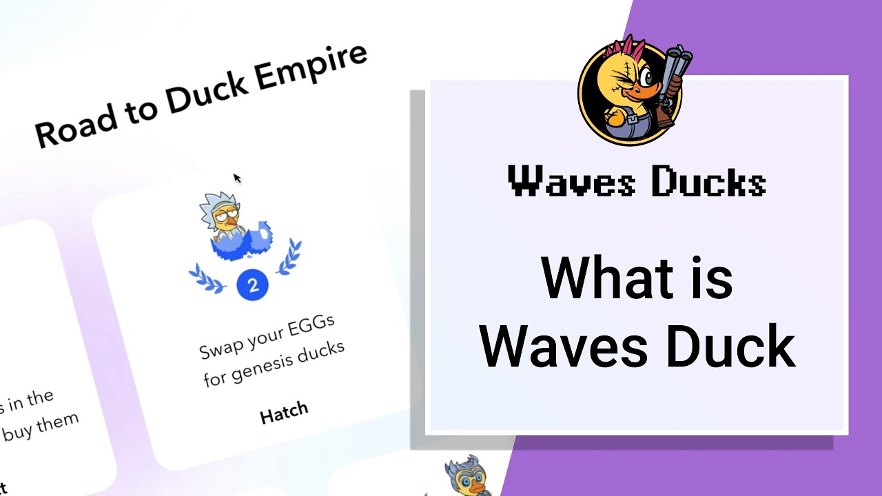 What is Waves Ducks? - YouTube