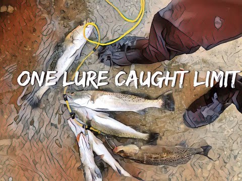 Vudu Shrimp Limited out on Sea Trout Ozello Park kayak fishing - YouTube