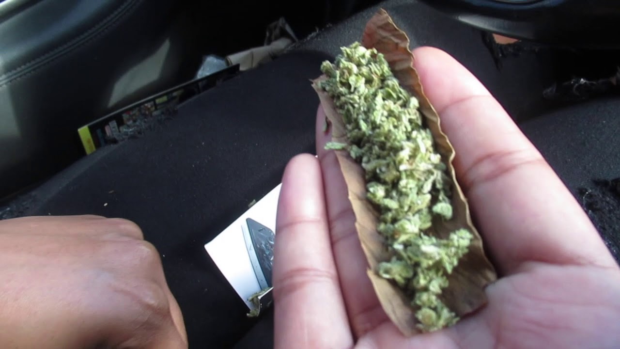 HOW TO ROLL A GRABBA/FRONTO LEAF...THE RIGHT WAY!! - YouTube