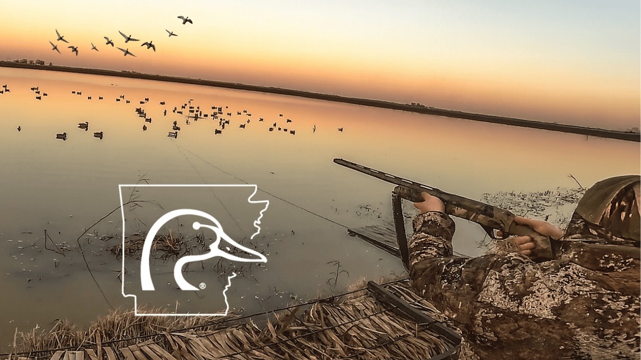 Stuttgart Duck Hunting + DU Banquet Weekend | Mallards, Specks & Snows ...