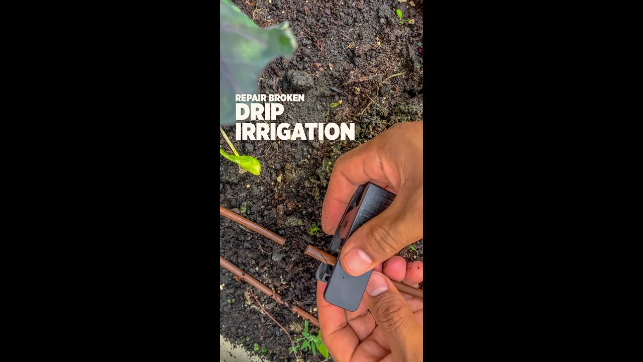 Broken Drip Irrigation Line – Quick Fix - YouTube
