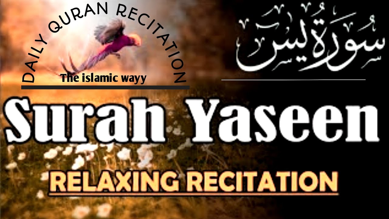 Surah Yasin || Yaseen dua || Surah Yaseen ki Tilawat Episode 0016 ...
