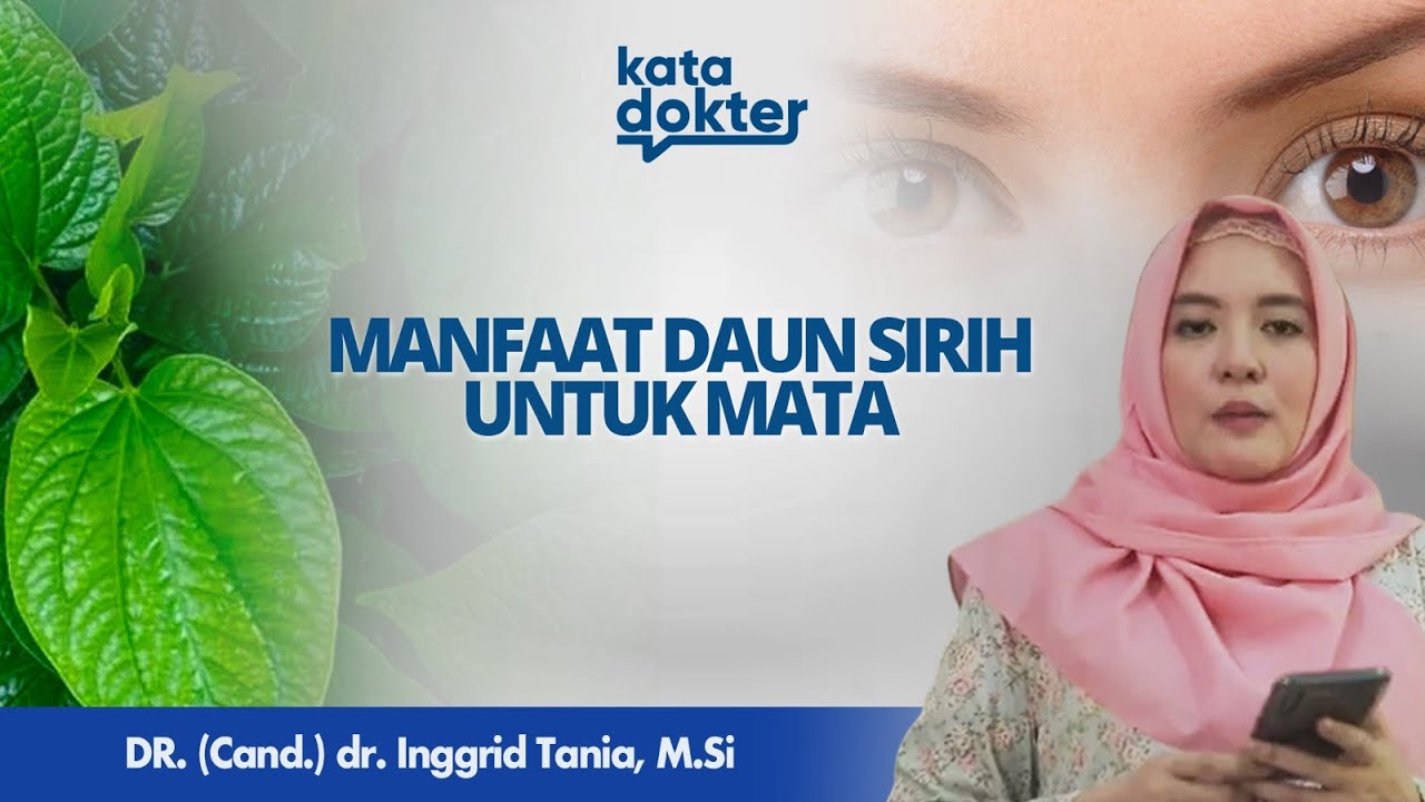 Benarkah Khasiat Daun Sirih Membuat Mata Sehat? l Kata Dokter - YouTube