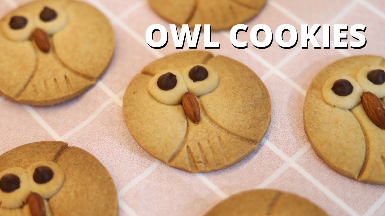 Most easy OWL COOKIES! - YouTube