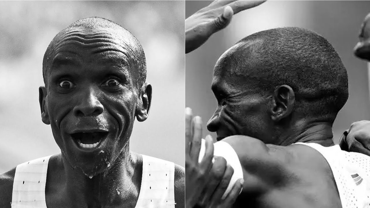 Analisando o crânio com testa curta e nuca longa - Muita habilidade com ...