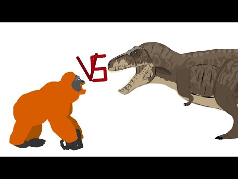 DCBA: Gigantopithecus VS Tyrannosaurus - YouTube