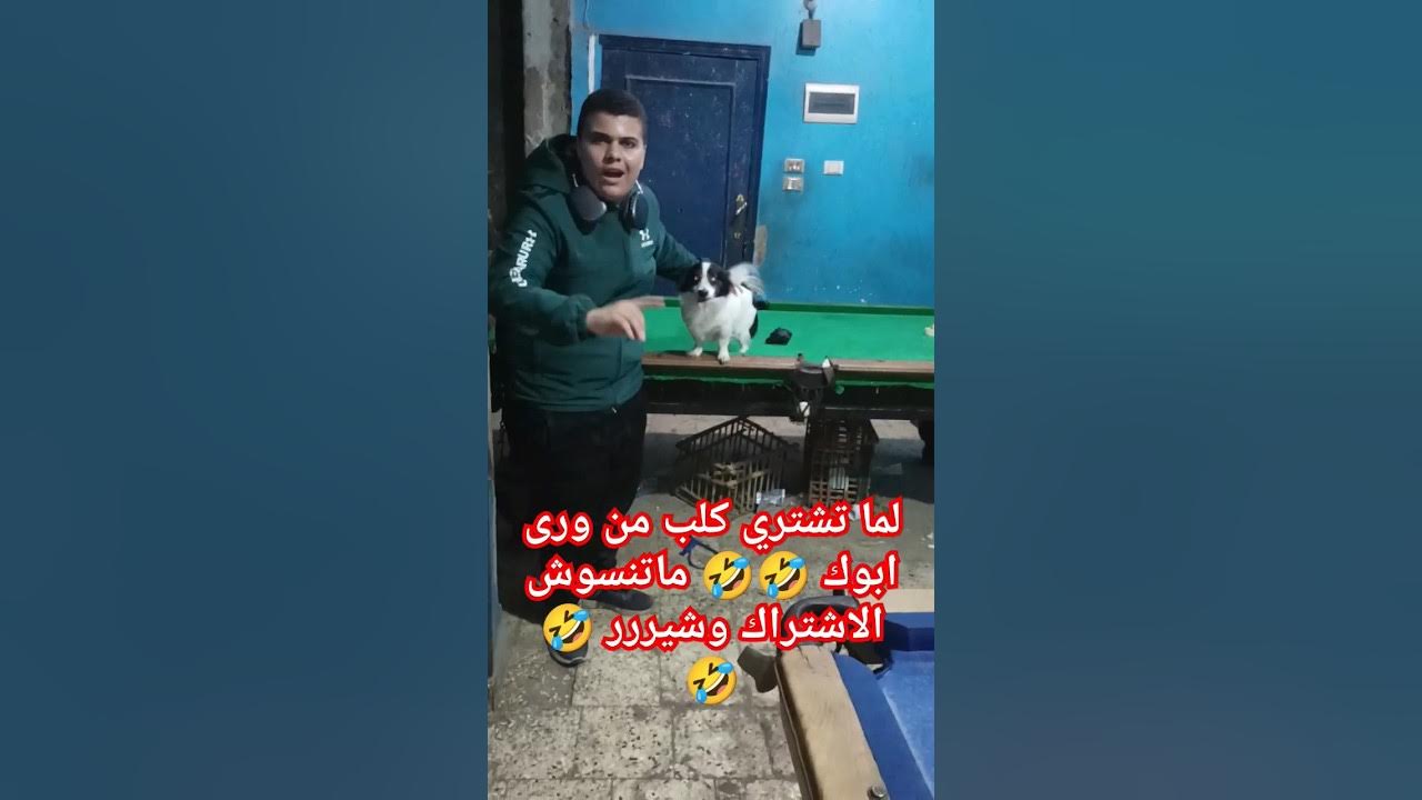 لما تشتري كلب من ورى ابوك وامك 🤣🤣 الحلقه كامله على الصفحة دي ما تنسوش الاشتراك وشير كلب