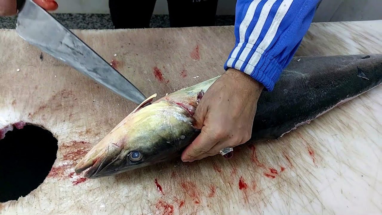 HOW TO FILLET COBIA FISH! *SAFE *To Eat? | Most Meat, No Bones - YouTube