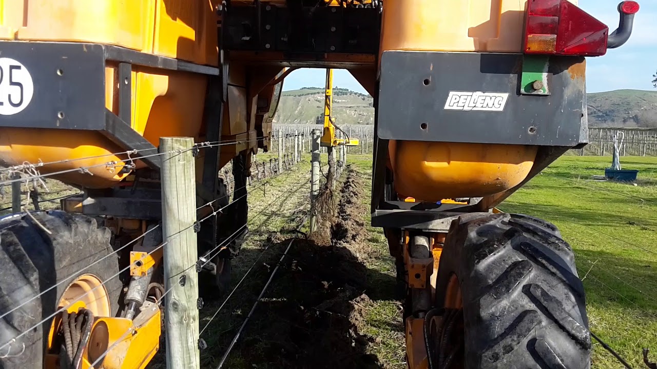 vineyard removal - YouTube