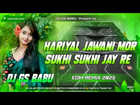 Hariyal Jawani Mor Sukhi Sukhi Jay Re | World Best DJ Remix Song Hindi | Hindi Romantic Song Dj Song