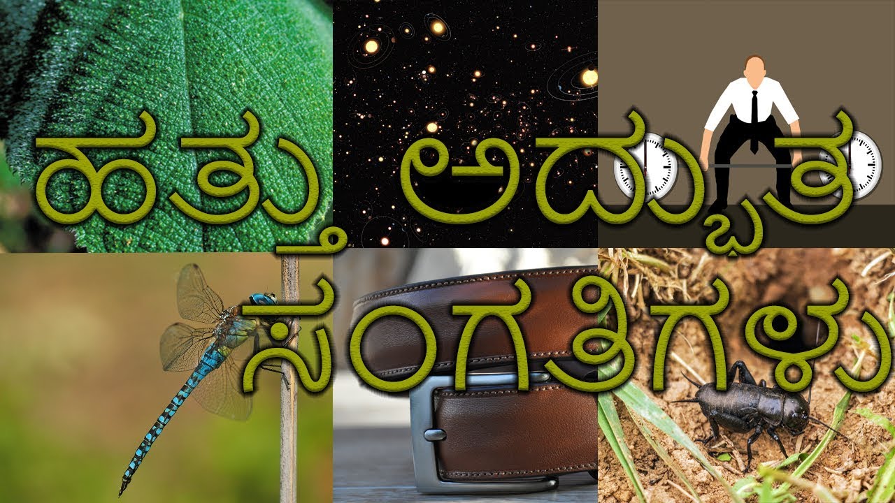 10 Amazing Facts In Kannada YouTube 10-amazing-facts-in-kannada-youtube