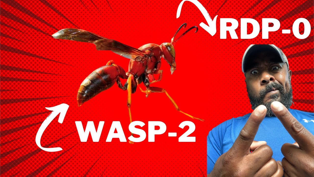 Wasps 2 RDP 0 🤦🏽‍♂️ - YouTube