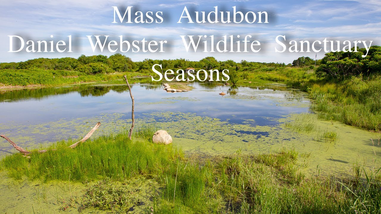 "Seasons" Mass Audubon Daniel Webster Wildlife Sanctuary - YouTube