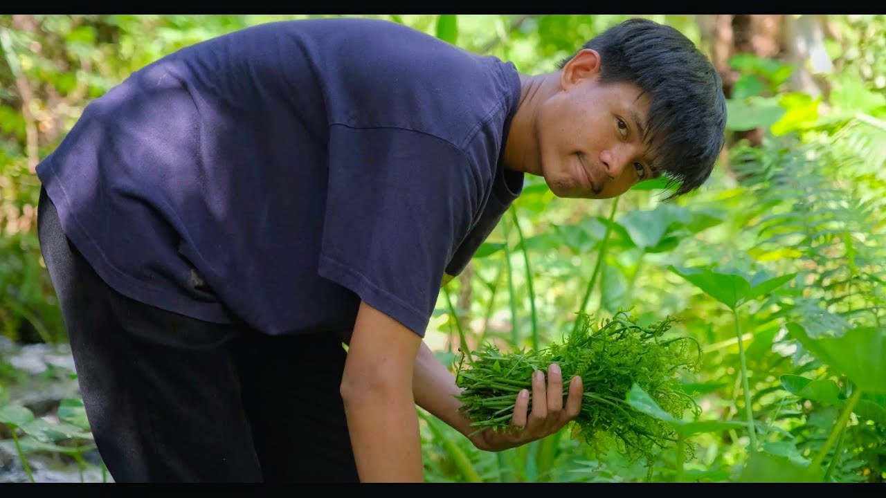 Cooking what nature gives me! Pako(edible fern) and more! - YouTube