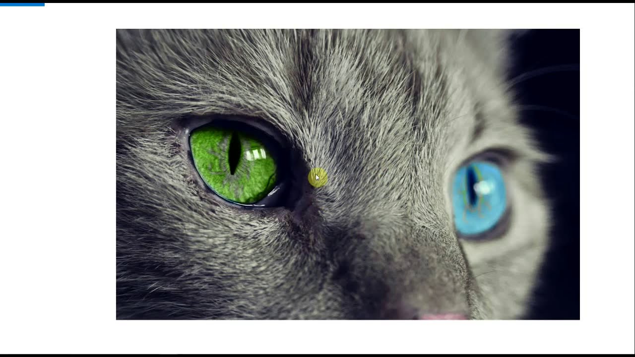 Change Eye Color In 1 Min Photopea Tutorial YouTube change-eye-color-in-1-min-photopea-tutorial-youtube