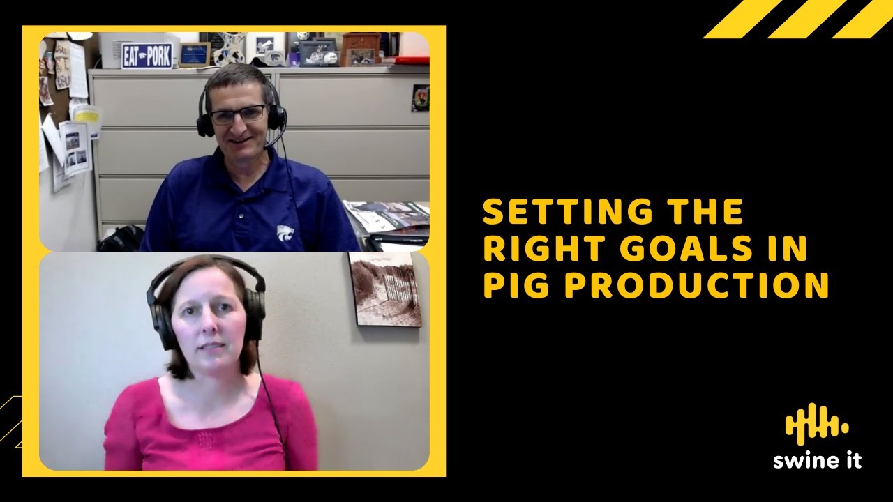 Setting the right goals in pig production - Dr. Mike Tokach - YouTube