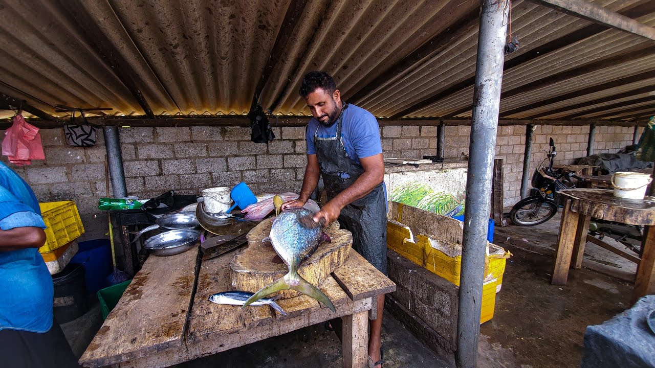 Taking fish cutting to the next level: The top techniques and skills ...