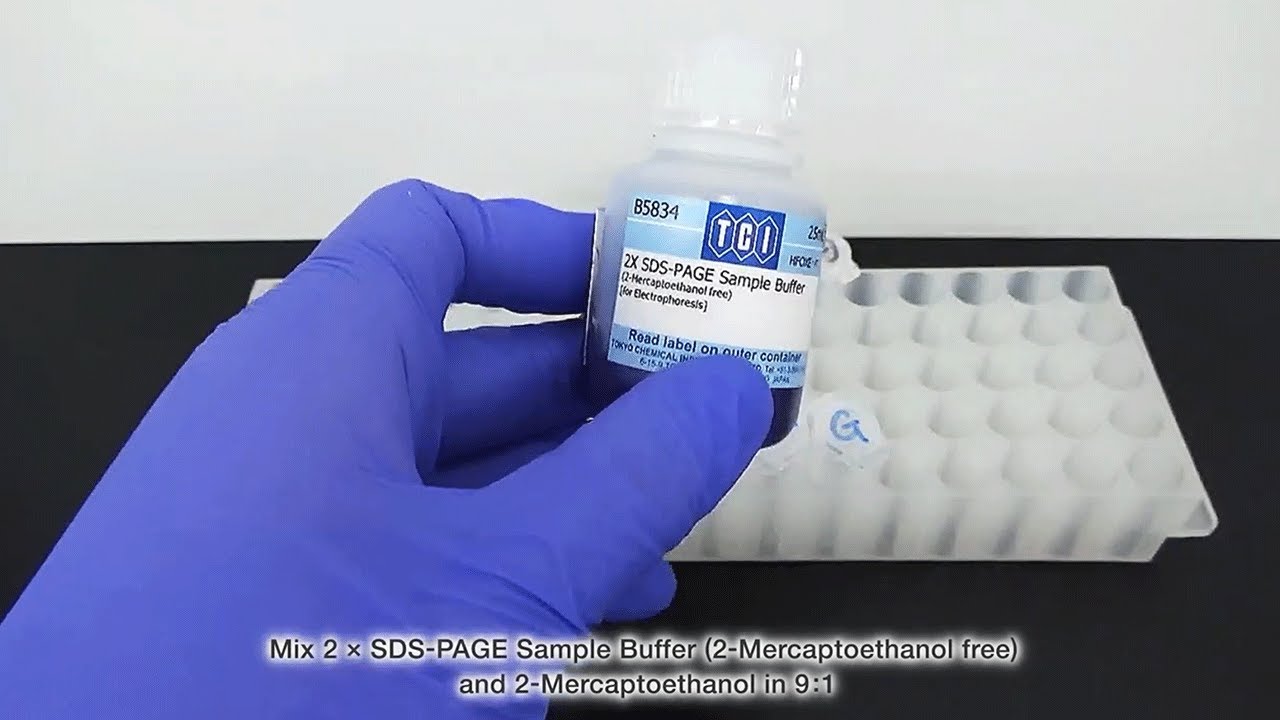 SDS-PAGE Sample Preparation Protocol Using Reducing Reagent - YouTube