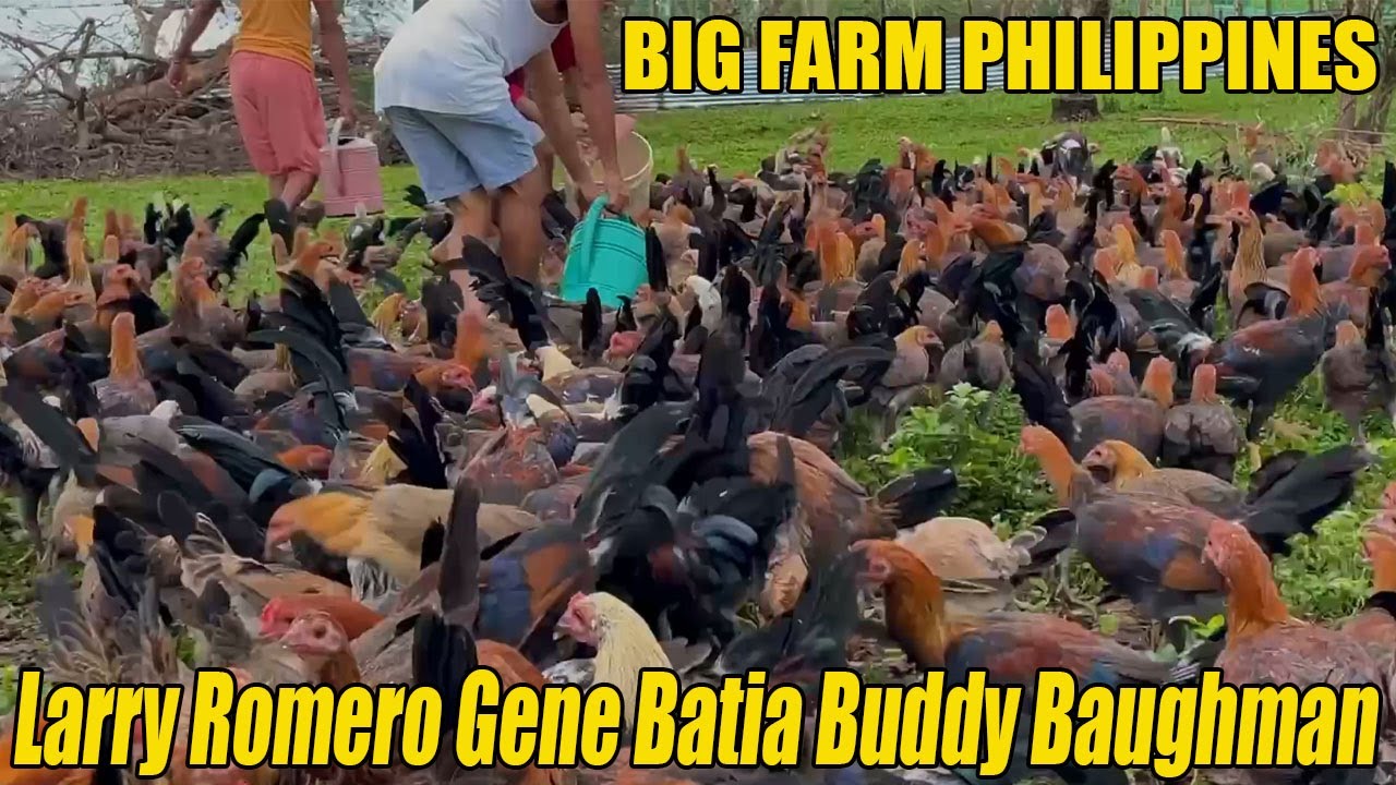 Larry Romero Gene Batia Buddy Baughman LIMPBIZKIT FARM - Farm Visit ...