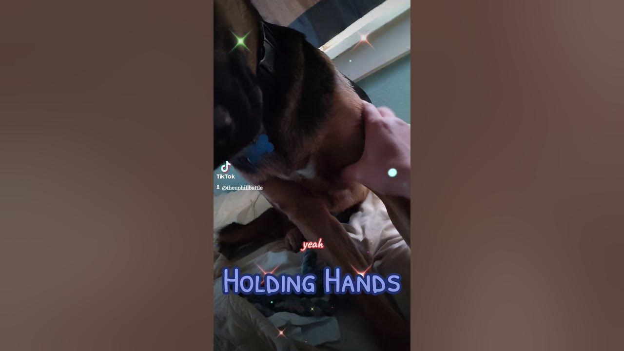 #fyp #dog #dogs #pets #hand #paws #doopy #genx #kingchaos - YouTube