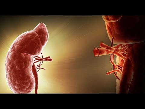 Hemodiyaliz İşleminin Başlatılması