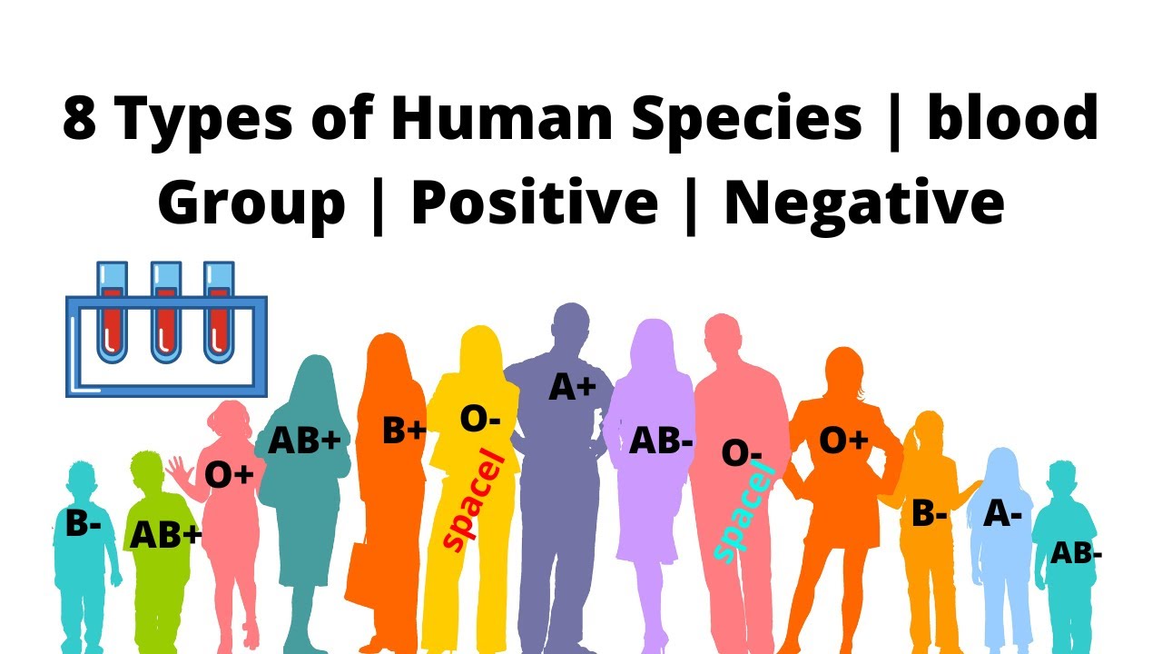 8 Types of Human Species | blood Group | Positive | Negative - YouTube