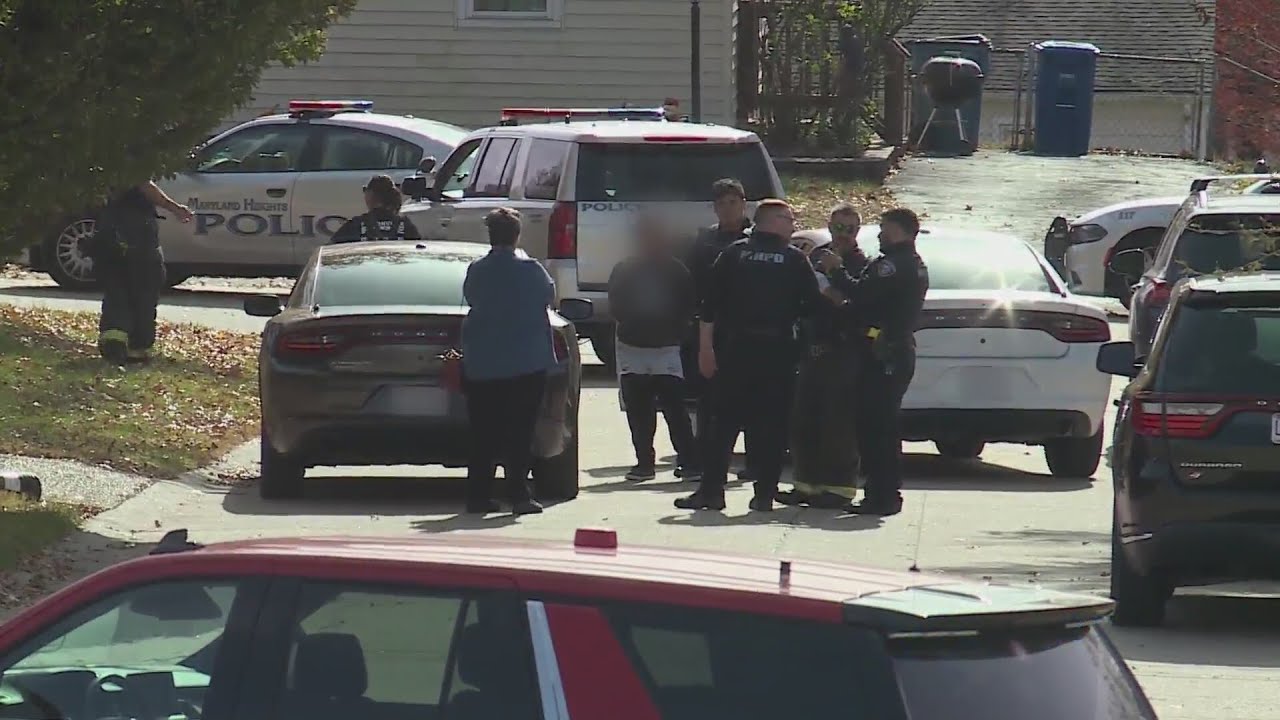 Police saving lives unseen: Behind the scenes in mental health ...