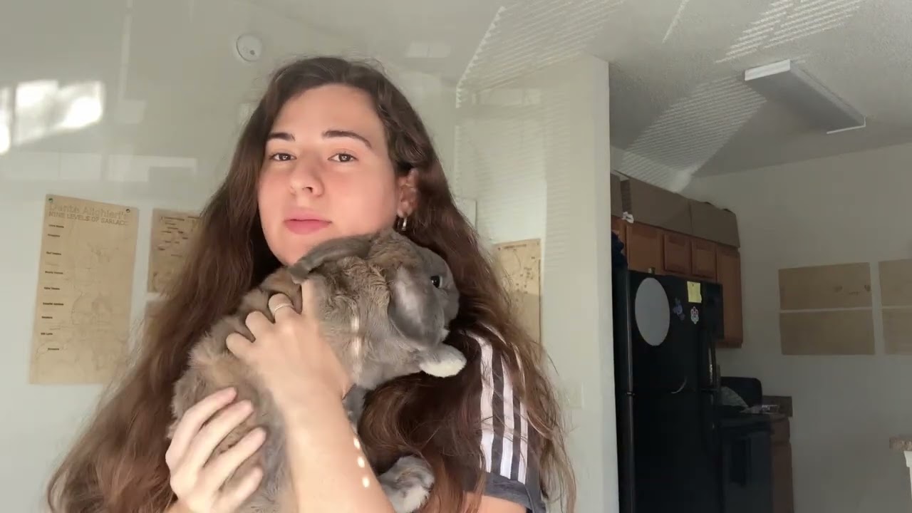 How to hold a rabbit! - YouTube