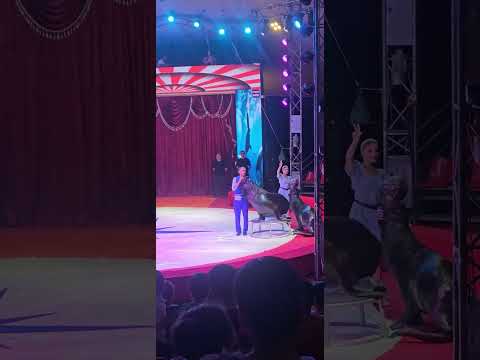 Gencede sirk eladi herkesden xais abune olun takib edin gozel.gozel vidiyolar gelecek