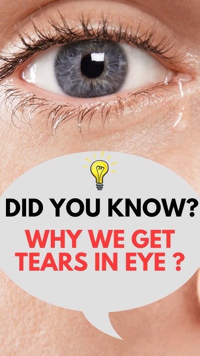 Why Do We Get Tears? The Science Behind Crying Explained! - YouTube
