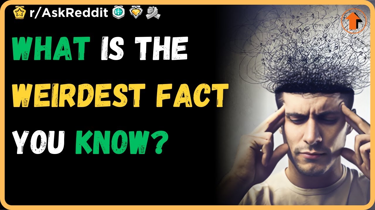 What Is The Weirdest Fact You Know Raskreddit Youtube