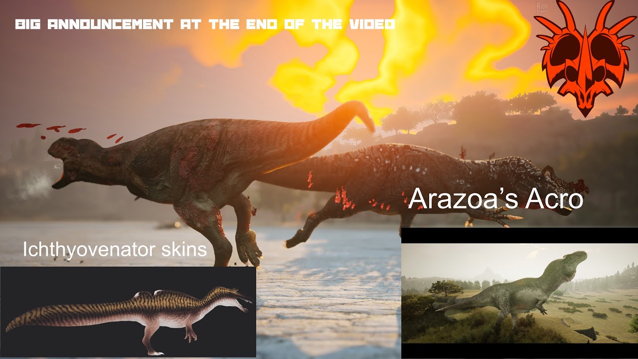 New acro, some pictures of Ex argilla’s allo and a big announcement at ...