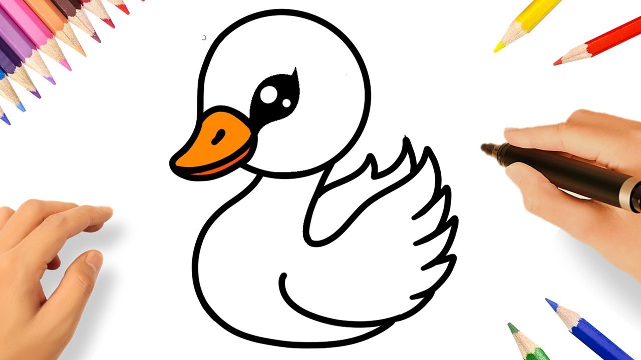 How To Draw A Baby Swan