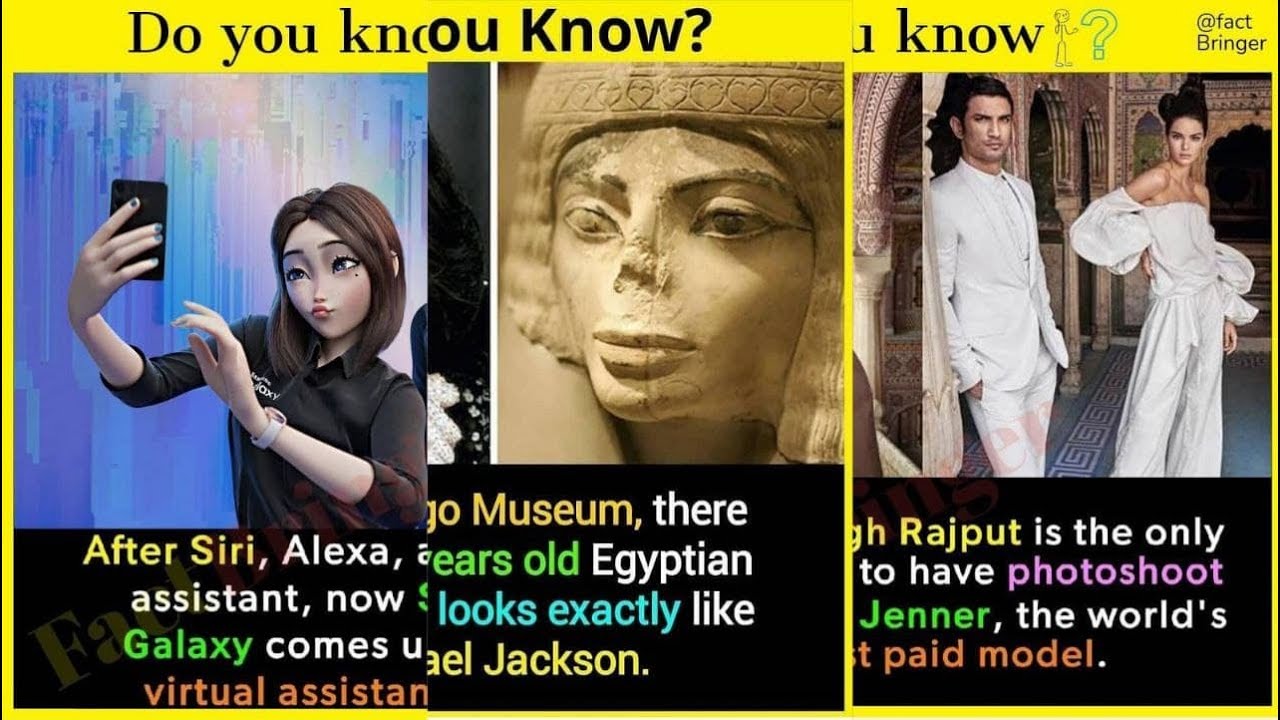 Did You Know Facts 10 The Amazing Facts You Should Know Know The did-you-know-facts-10-the-amazing-facts-you-should-know-know-the