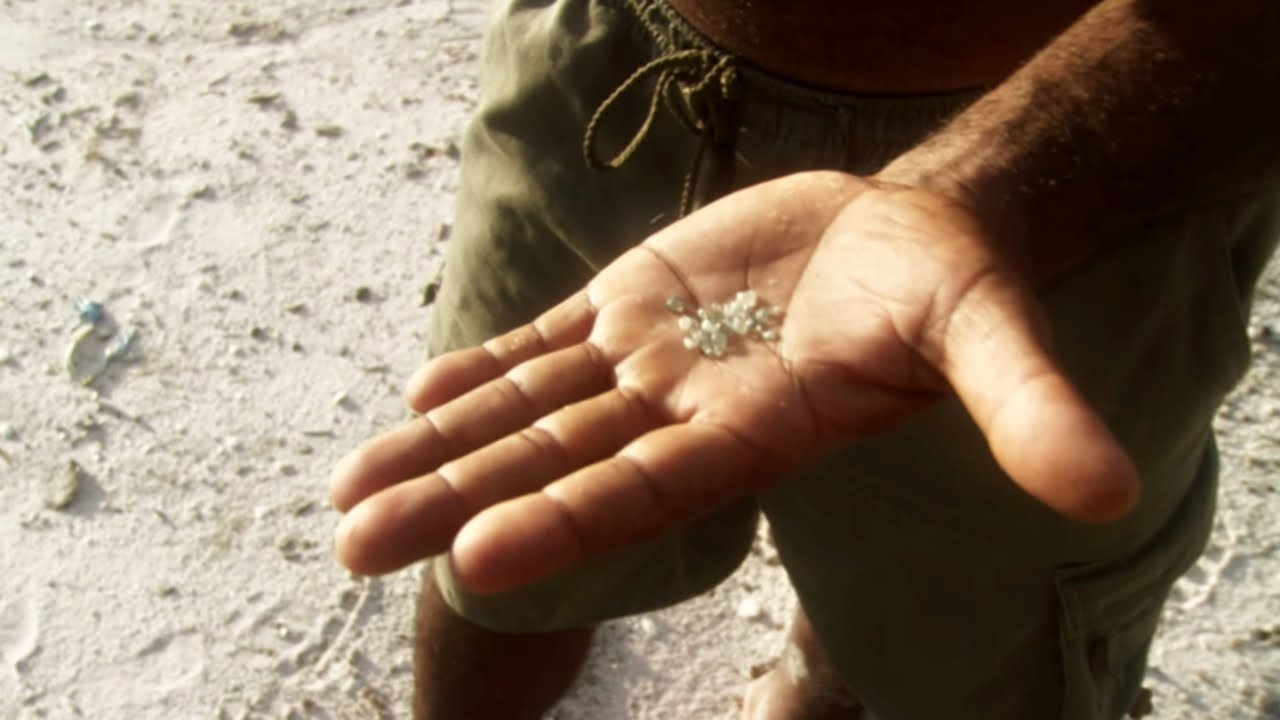 The White Diamond: Welcome to the Amazon Rainforest - YouTube