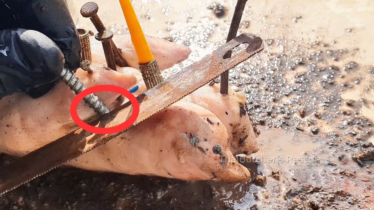 🔪 Butcher’s Deep Clean! Restoring a Dirty Pork Leg to Perfection 🚀🔥 ...