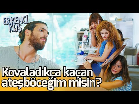 Kovaladıkça Kaçan Ateşböceğim Misin? | Erkenci Kuş