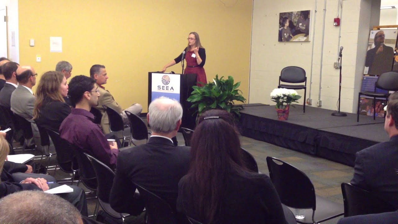 SEEA Vice President Mandy Mahoney on Policy Synergies in the Southeast ...