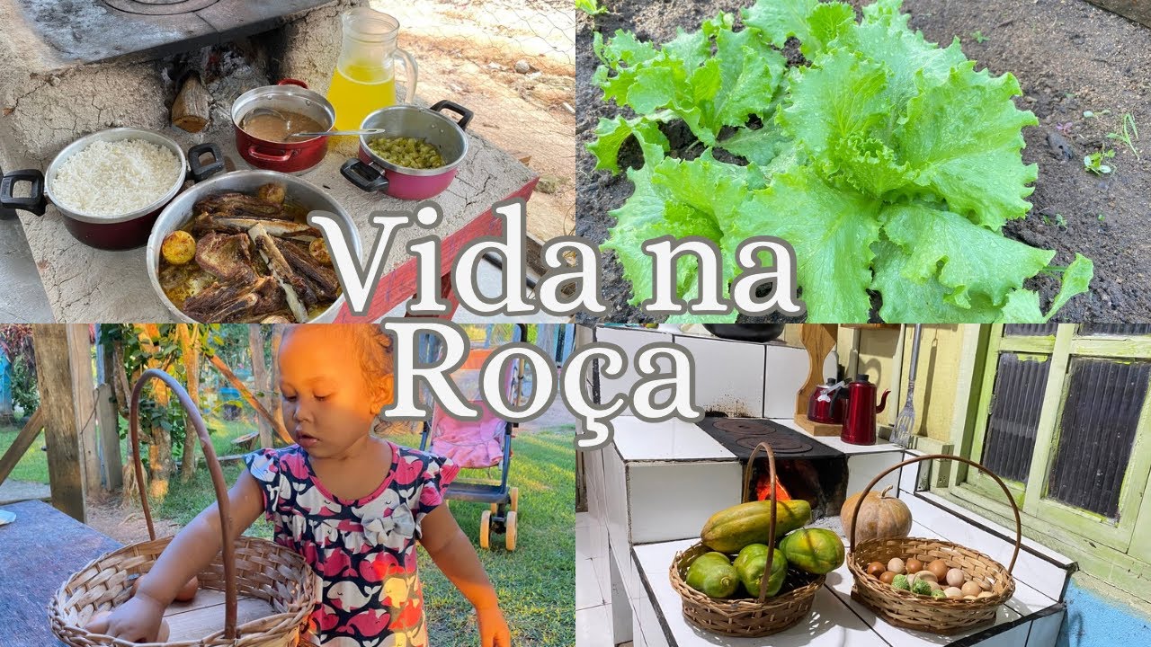Vivendo uma vida simples ao lado da natureza Cuidei da horta dos patos ...