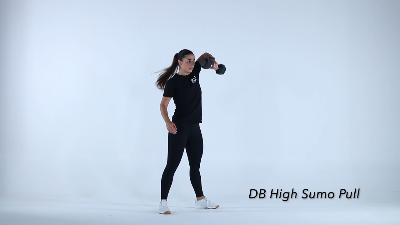 DB High Sumo Pull - YouTube