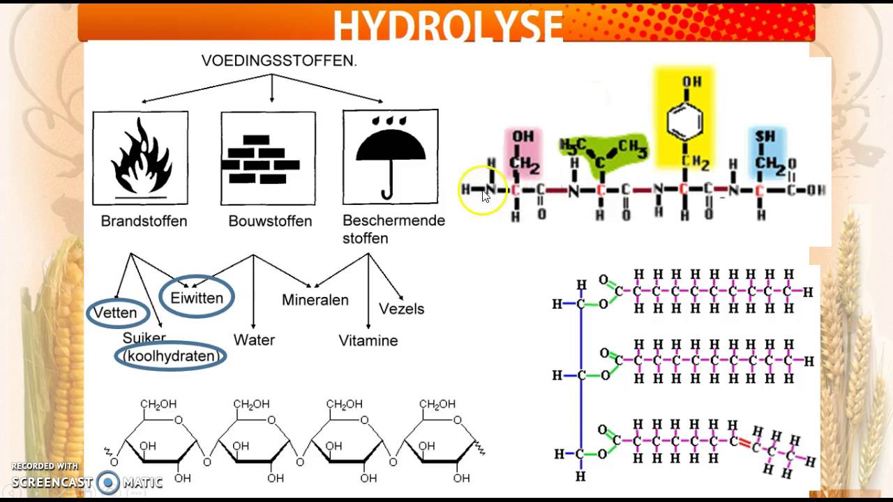 Hoofdstuk 4: Hydrolyse - YouTube