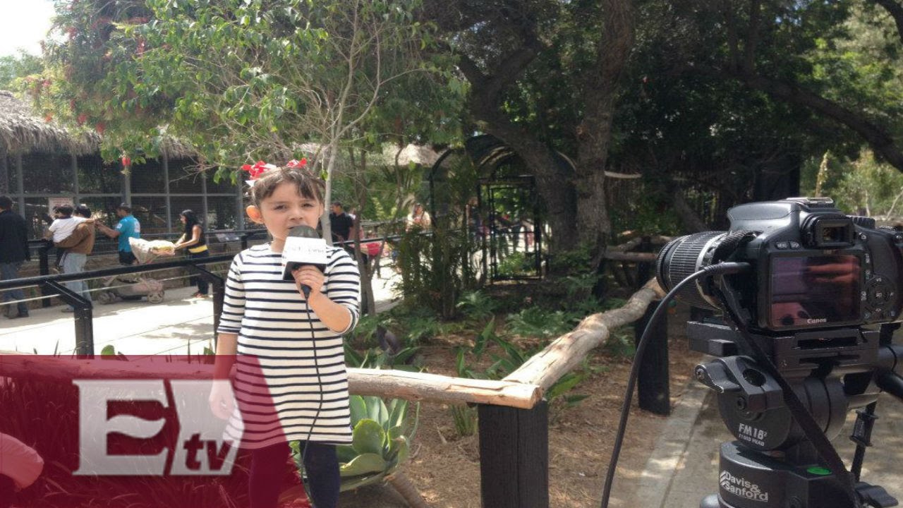 Los mini reporteros platican sobre el festejo del Día del Niño ...