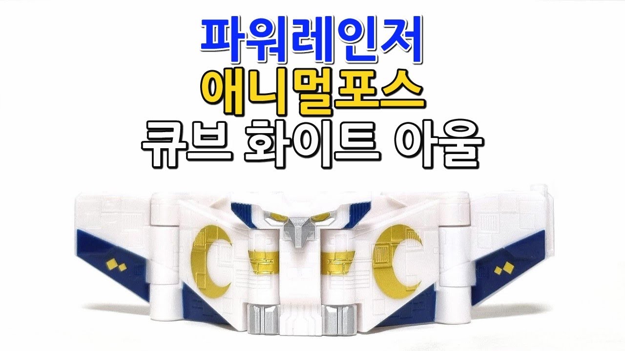 파워레인저 애니멀포스 큐브 화이트 아울 (Power Rangers Animal Force Cube White Owl) - YouTube