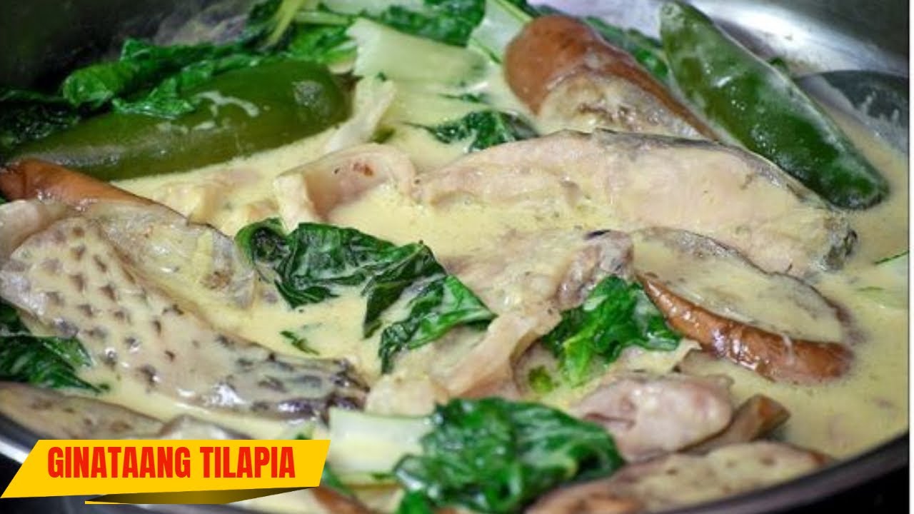 HOW TO COOK AND PREPARE GINATAANG TILAPIA - YouTube