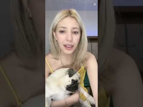 periscope live cute girl 508