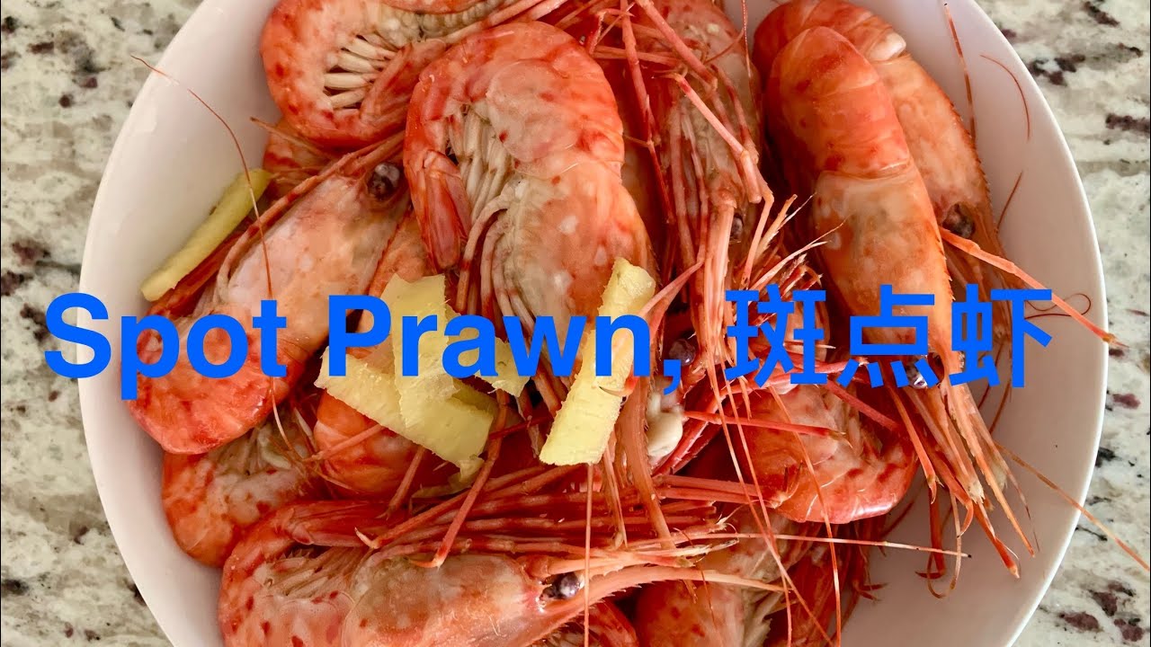 Spot prawn, cook from live. 白灼斑点虾。 #cooking #prawn #shrimp #live #斑点虾 # ...