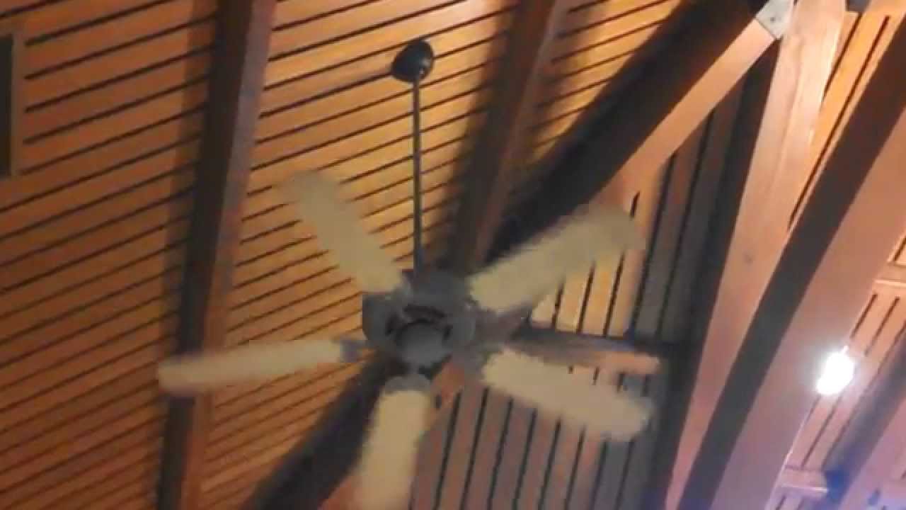 Nicor? Ceiling Fans in a restaurant - YouTube