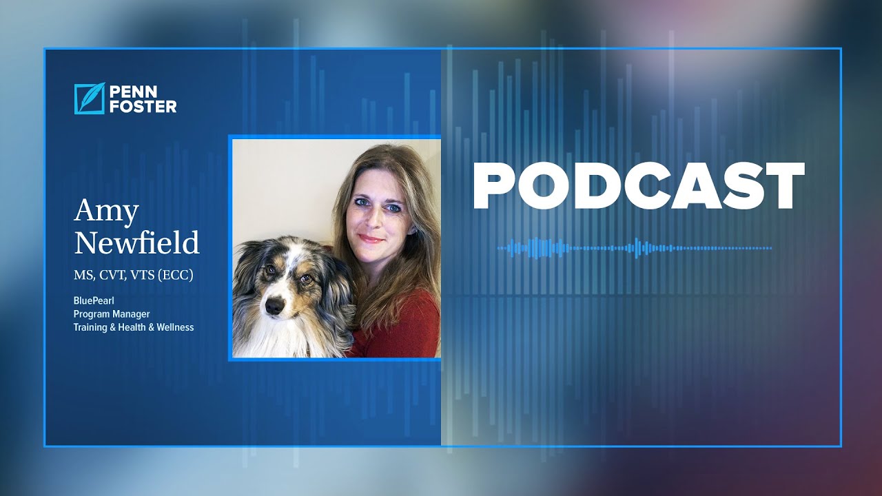 Penn Foster Podcast: Advice From BluePearl's Program Manager Amy ...